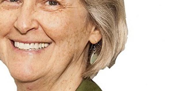 Dr. Lisa McElwee-White - Inorganic Seminar | Department of Chemistry ...